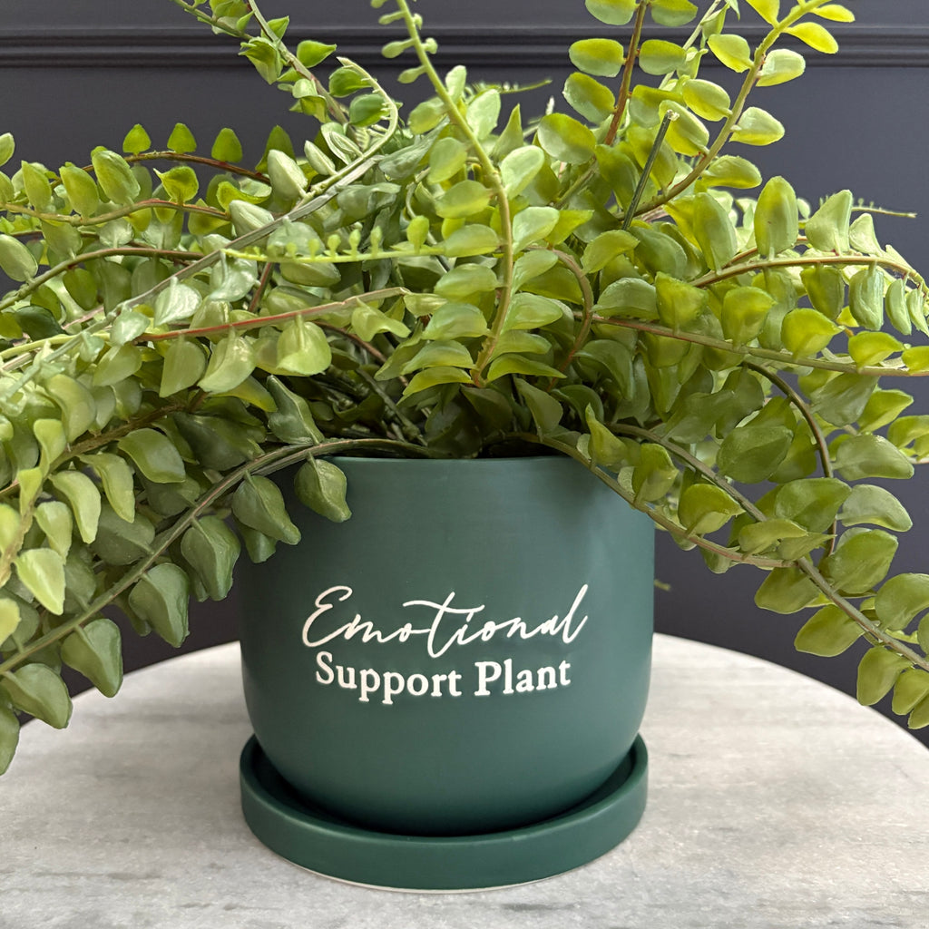 Ceramic Plant Pot - Limited Abode